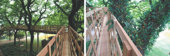 モンキー・ウェイ│Monkey Way